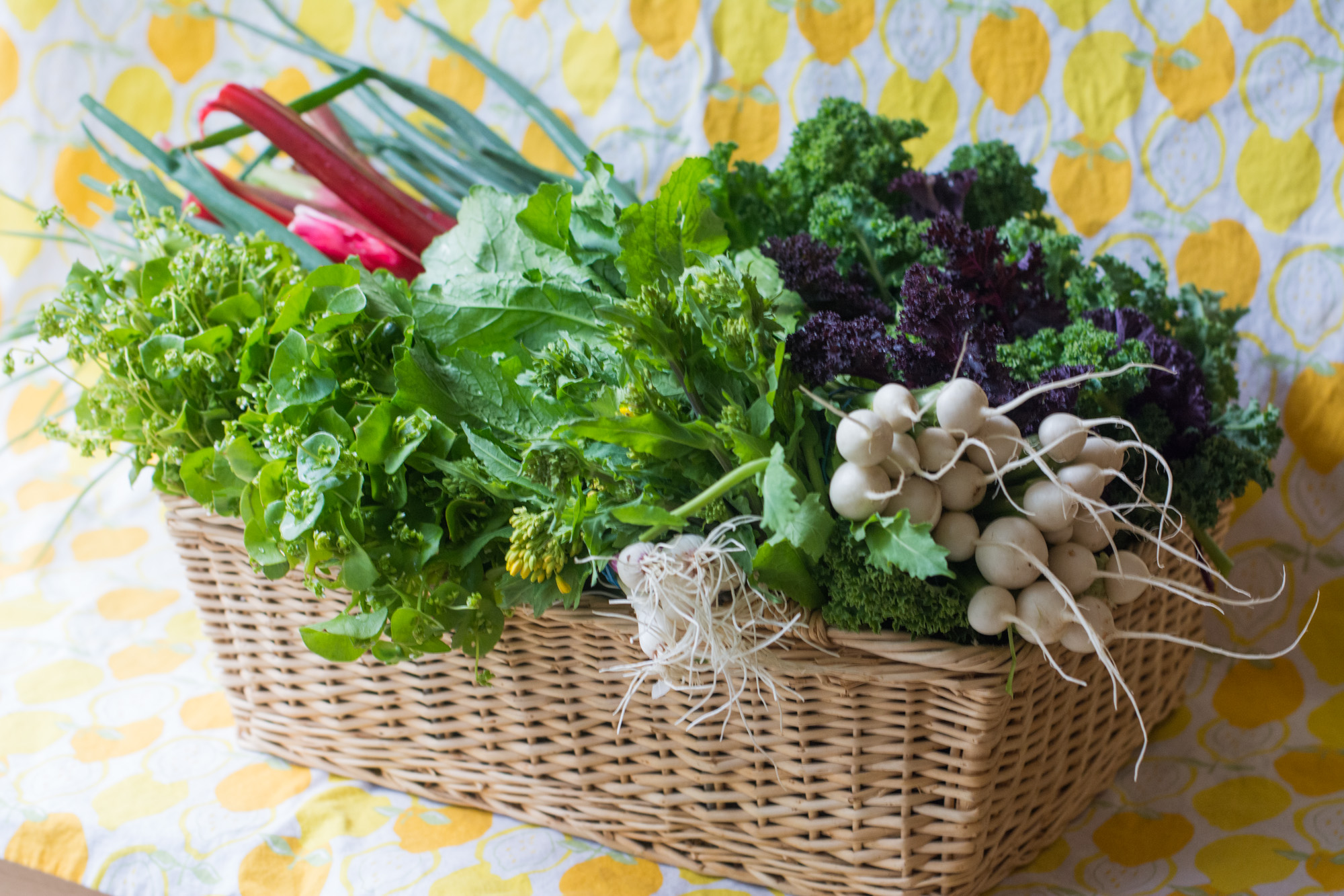 Spring Week 3—Spring Limbo | Whistling Train Farm