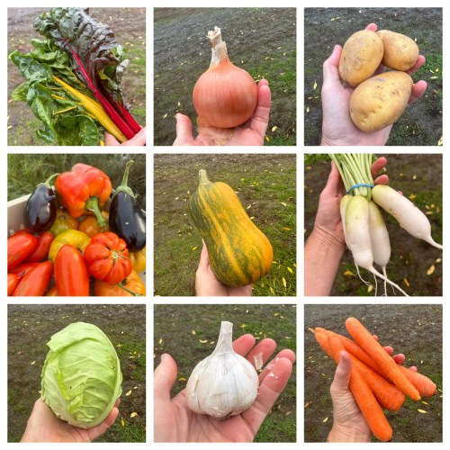 Whistling Train Farm | Your urban farm.